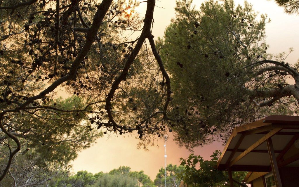 31 Best Places To Stay In Tennessee