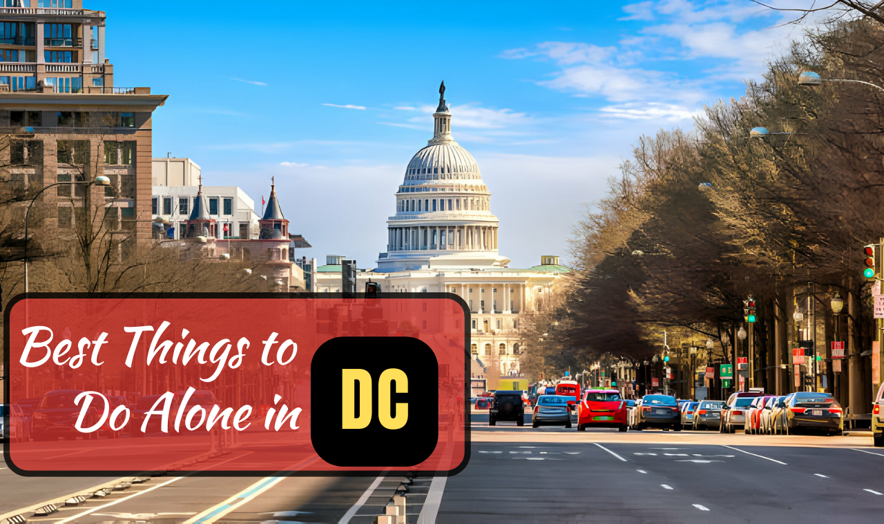 Discover The Best Things To Do Alone In DC