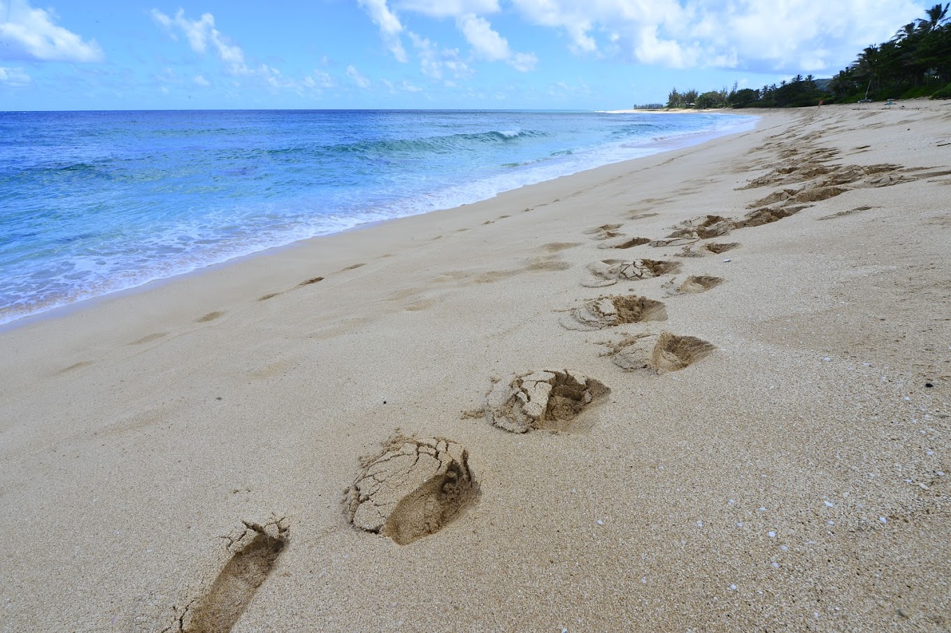 Best Hidden Beaches In Oahu