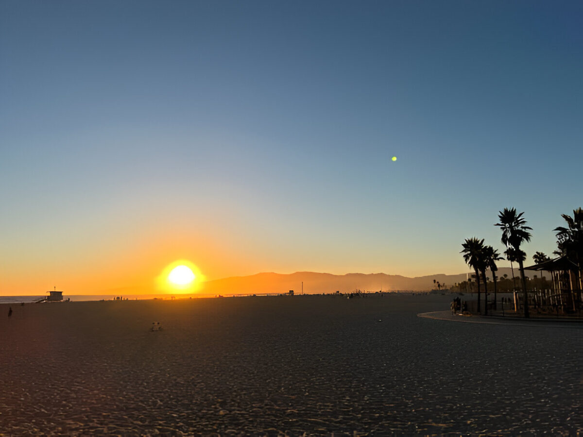 18 Things To Do In Venice Beach California